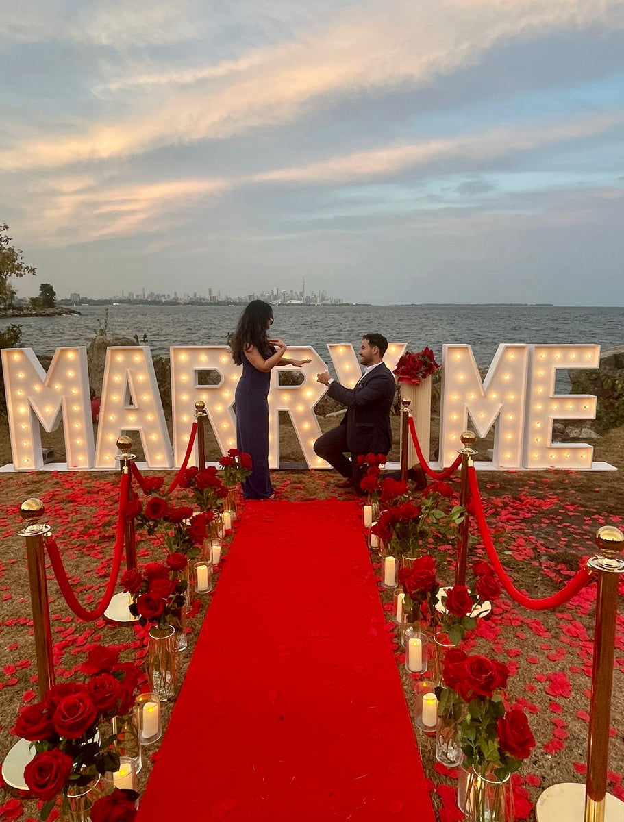 This is the most Epic Toronto Proposal Package - Marry Me, My Love! – Toronto Proposal Company